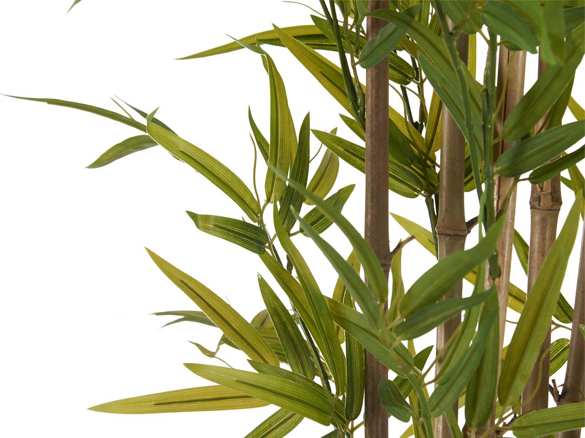 Planta con maceta bambu grande 180cm - Productos - Tendencia Única